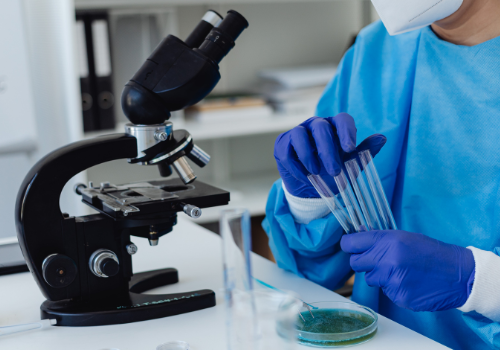Metallography & Metal Testing Lab in India | NABL Certified